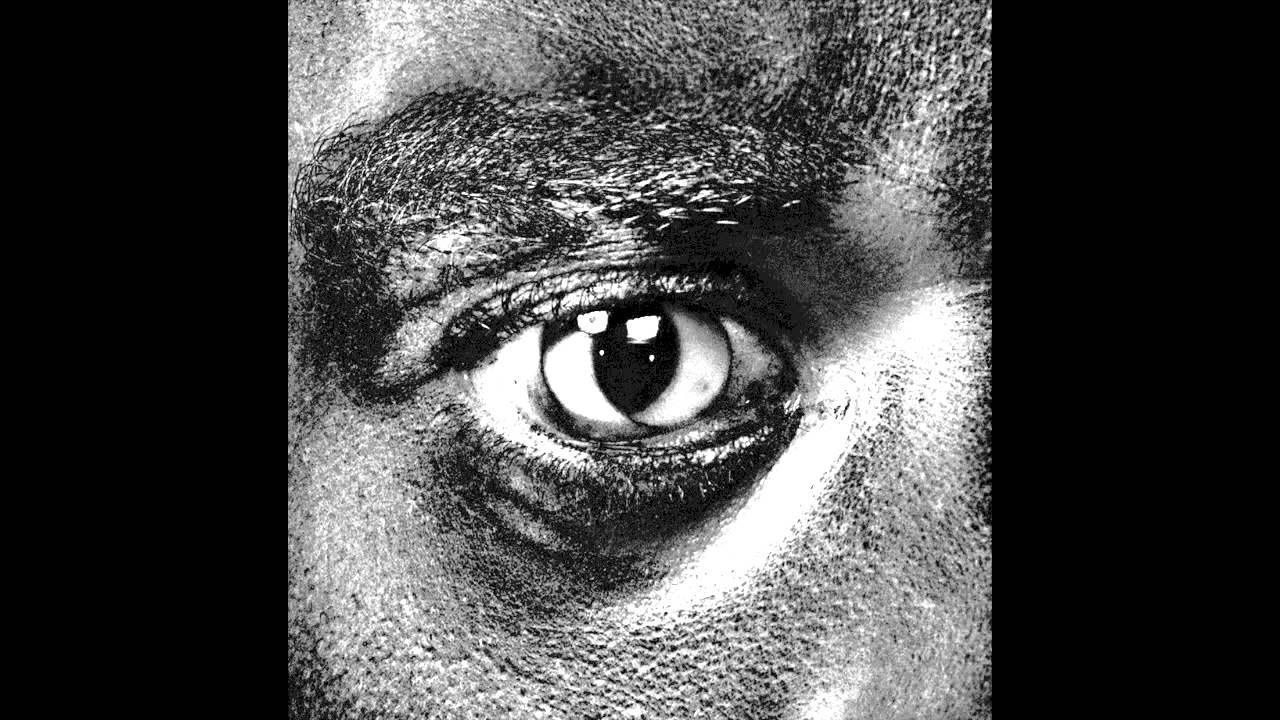 WILEY EVOLVE OR BE EXTINCT ALBUM ARTWORK Pinspired wiley-evolve-or-be-extinct-album-artwork-pinspired